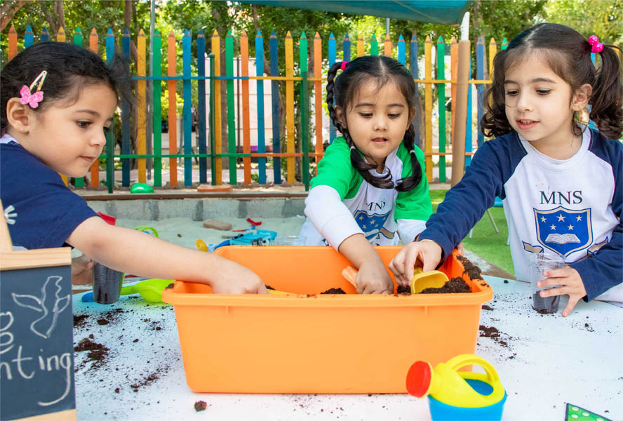 About Multinational School